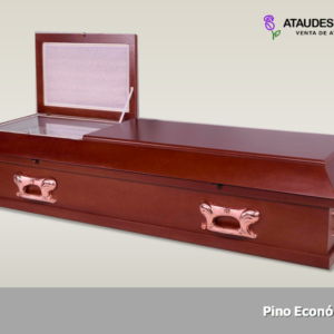 Venta De Ataúdes De Madera y Metal En México Precios