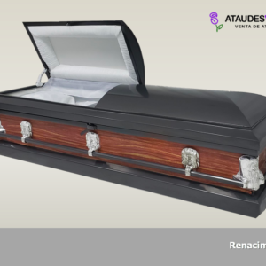 Ataudes De Metal archivos - VENTA DE ATAUDES PRECIO